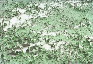 Frank Thiel – Galeria Leme